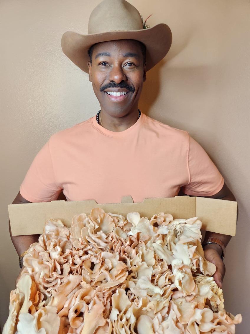 About us – Ted Gibson